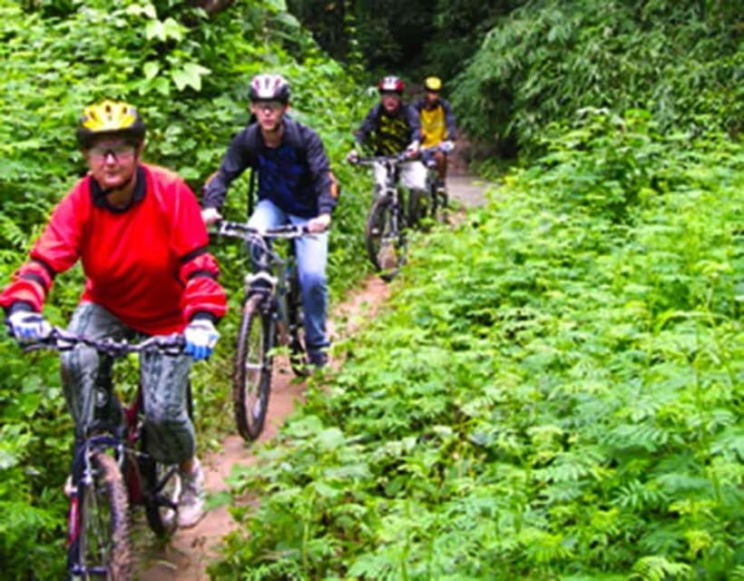 Chiang Mai: Rainforest Guided Mountain Biking Tour - Insights from Reviews