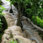 Chiang Mai: Sticky Waterfall Half day tour - The itinerary and what makes each stop special