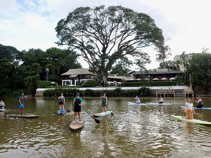 Chiang Mai: SUP Paddleboarding on the Ping River - Who Will Love This Tour?