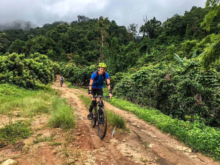 Chiang Mai: Suthep National Park Hiking & DH Mountain Biking - Authentic Experiences and Practical Tips