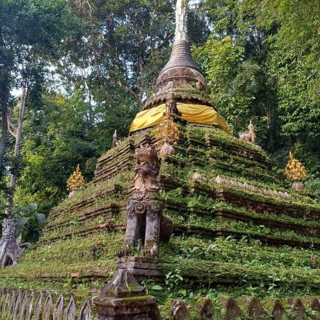 Chiang Mai: Wat Umong, Wat Pha Lat And Wat Doi Suthep Tour - Practical Details and Tips