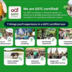 Chiang Rai: Full-Day Customizable Private Tour - Who Will Love This Tour?