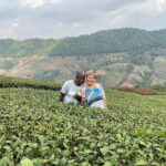 Chiang Rai: Mountains Discovery Doi Mae Salong & Doi Tung - Transportation and Group Size