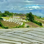Chiangmai : Doi Inthanon unseen spot , Rice terrace & temple - Who Should Consider This Tour?