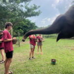 Chiangmai : Take care elephants+poopaper, sticky waterfalls - Practical Details: What You Need to Know