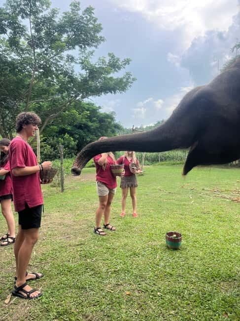 Chiangmai : Take care elephants+poopaper, sticky waterfalls - Practical Details: What You Need to Know