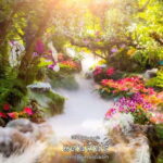 Chiangmai to Chiangrai: 3 Temples, Hot Springs& Lalitta Cafe - What Reviewers Highlight the Most