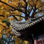 China Hollywood and Yiwu-the offline Temu commercial heaven - Exploring China Hollywood: Hengdian’s Film Studio Marvels