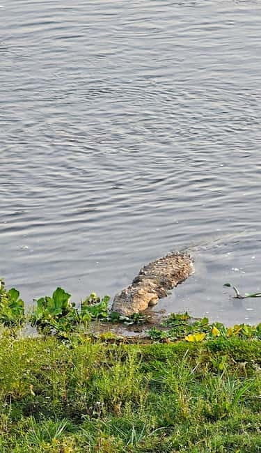 Chitwan: 2 Full day jungle walk with Canoeing all inclusive - The Second Day: Exploring the Buffer Zone