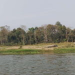 Chitwan Combo Tour: Jeep Safari, Canoeing & Jungle Walk - The Itinerary Breakdown: What You’ll Experience