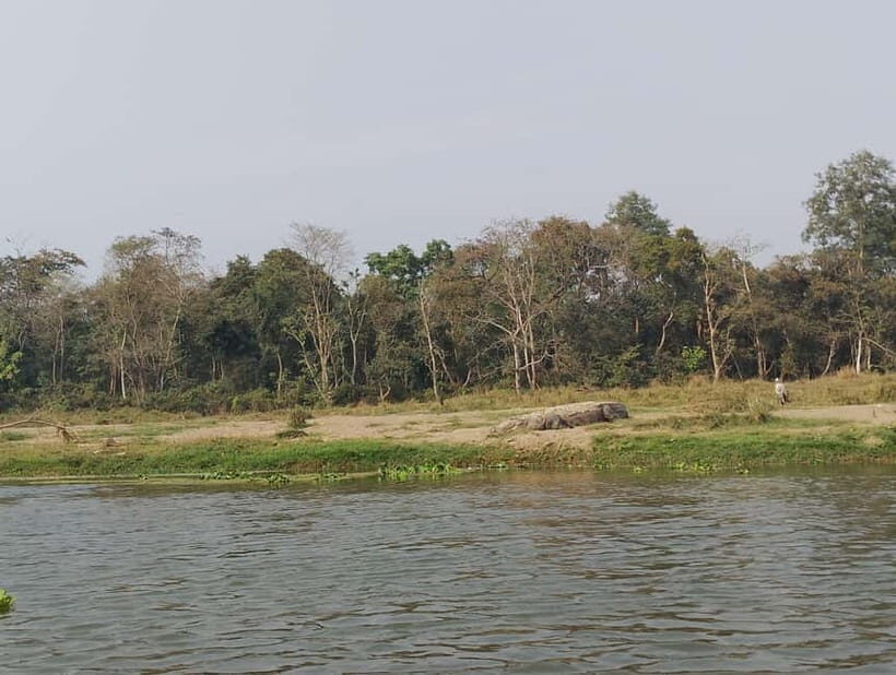 Chitwan Combo Tour: Jeep Safari, Canoeing & Jungle Walk - The Itinerary Breakdown: What You’ll Experience