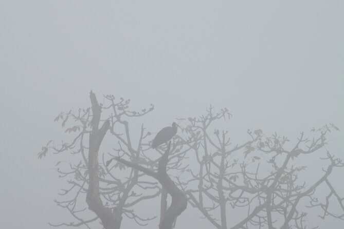 Chitwan National Park Bird Watching Untouched Side from Madi - What Real Travelers Say