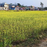 Chormara: Homestay, Meals, & Cultural Immersion Program - Who Will Love This Experience?
