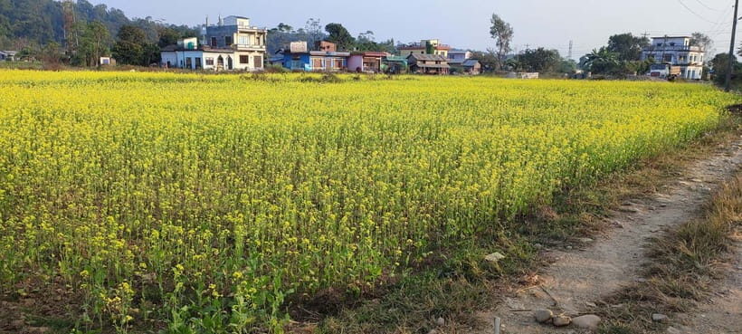 Chormara: Homestay, Meals, & Cultural Immersion Program - Who Will Love This Experience?
