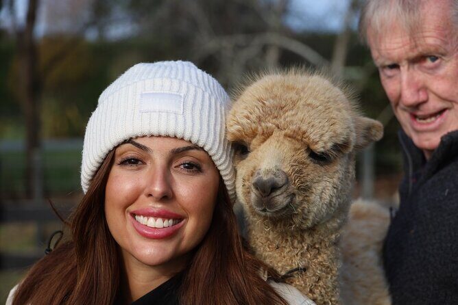 Christchurch Alpaca Farm Tour From Kaiapoi - Who Will Love This Tour?