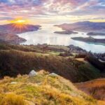 Christchurch City Highlights Half Day Tour - How the Experience Plays Out: Pros and Cons