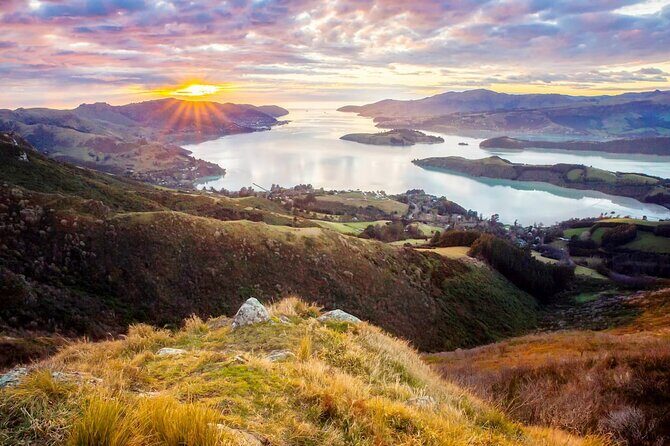 Christchurch City Highlights Half Day Tour - How the Experience Plays Out: Pros and Cons