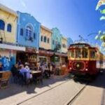 Christchurch City Sights Experience for Cruise Passengers - What We Love About This Tour