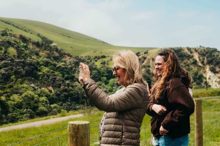 Christchurch City Top Spots Private Half Day Tour - Key Points