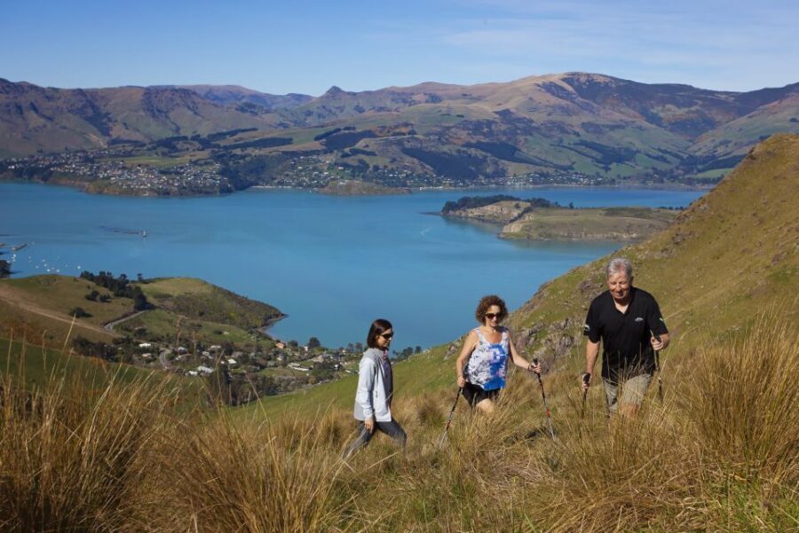 Christchurch: Guided Crater Rim Walk with Picnic - What Makes This Walk Special?
