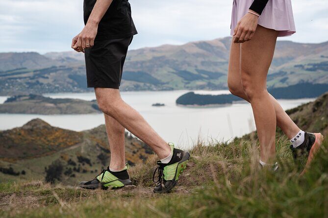 Christchurch Highlights Tour (Full Day Private) - What Does It All Mean for You?