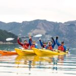 Christchurch: Sea Kayaking Tour of Lyttelton Harbour - An In-Depth Look at the Experience