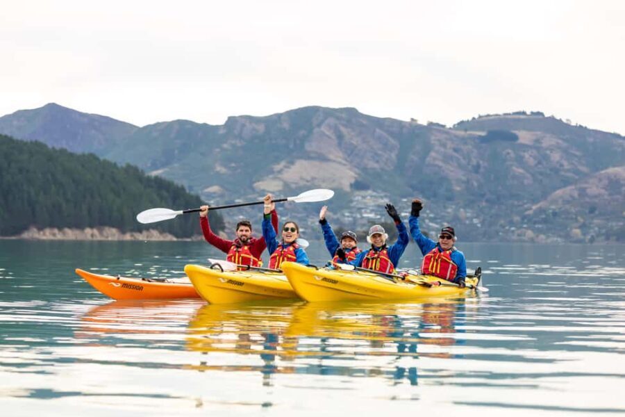 Christchurch: Sea Kayaking Tour of Lyttelton Harbour - An In-Depth Look at the Experience