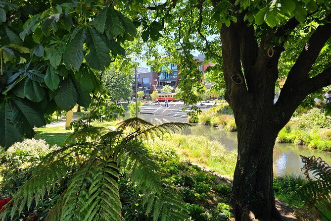 Christchurch Secret Inner City Walking Tour and Hidden Gems - Who Should Consider This Tour?