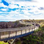 Christchurch to Franz Josef Tour with TranzAlpine (1 way) - What’s Included & What to Expect
