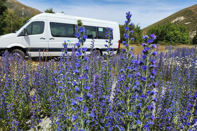 Christchurch to Franz Josef via Hokitika (1 way) - The Sum Up