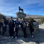 Christchurch to Queenstown One Way Tour Via Lake Tekapo & Mt Cook - What Travelers Say