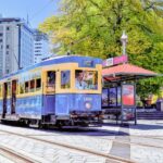 Christchurch Tram City Tour & Punting Combo - Who Would Enjoy This Tour?