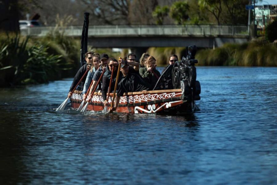 Christchurch: Waka Paddling Experience on the Avon River - Pricing and Value