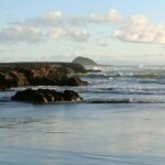 City & Coast & Country  A Relaxed Day Tour from Auckland - A Closer Look at the Itinerary: What Makes This Tour Special