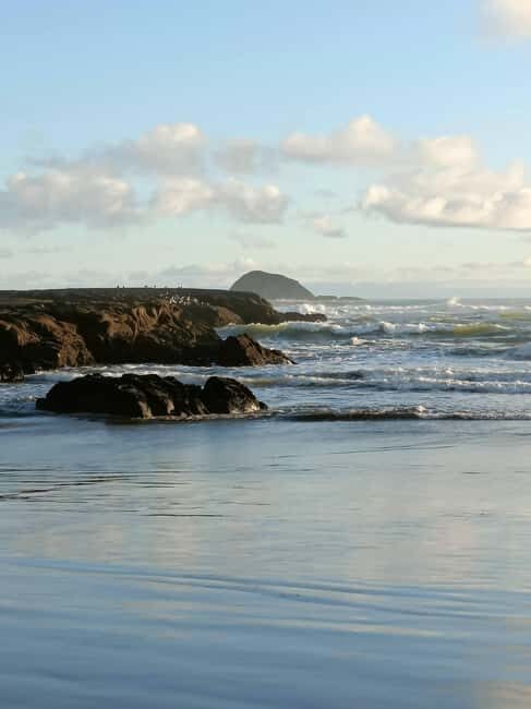 City & Coast & Country  A Relaxed Day Tour from Auckland - A Closer Look at the Itinerary: What Makes This Tour Special