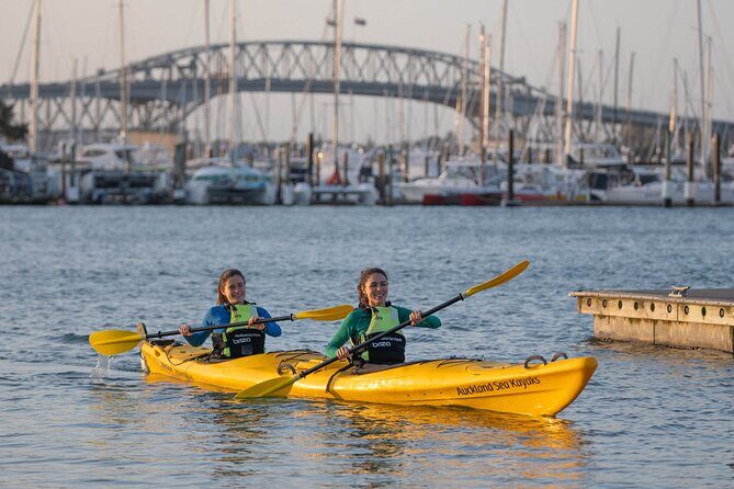 City Scenes Kayak Tour in Auckland - Explore the Waterfront - The Sum Up