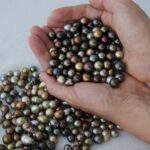 Civa Fiji Pearls Boutique Pearl Farm Tour Experience - Who Should Consider This Tour?
