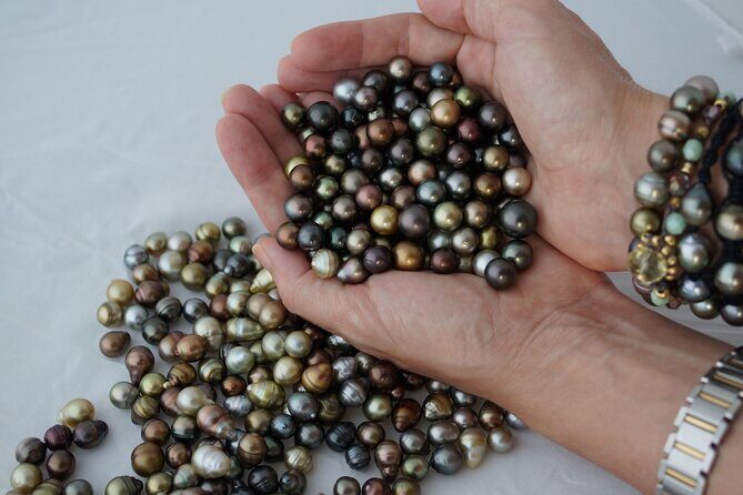 Civa Fiji Pearls Boutique Pearl Farm Tour Experience - Who Should Consider This Tour?