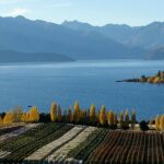 Classic Wanaka Wine Tour - Exploring the Central Otago Wine Region