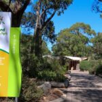 Cleland Wildlife Park Experience - from Adelaide including Mt Lofty Summit - What We Love About This Tour