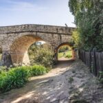 Coal River Valley, Lunch, Richmond & Tastings Private Day Tour - Who Is This Tour Best Suited For?