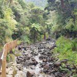 Coast and Rainforest Eco-Tour from Auckland with Picnic Lunch - The Sum Up: Who Will Love This Tour?