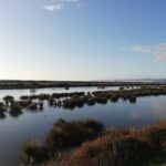 Coast to Vineyards Self-Guided Scenic Cycle Tour from Napier - Vineyard Stops and Wine Tasting