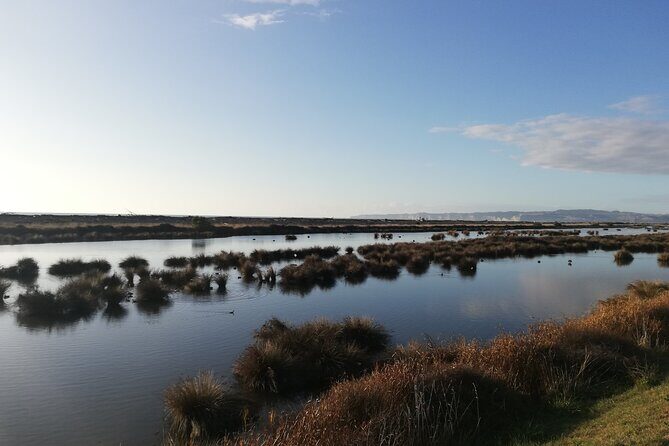 Coast to Vineyards Self-Guided Scenic Cycle Tour from Napier - Vineyard Stops and Wine Tasting