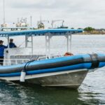 Coastal 2.5-hour Adventure Boat Tour from Newcastle - What Visitors Say