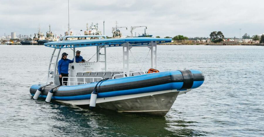 Coastal 2.5-hour Adventure Boat Tour from Newcastle - What Visitors Say