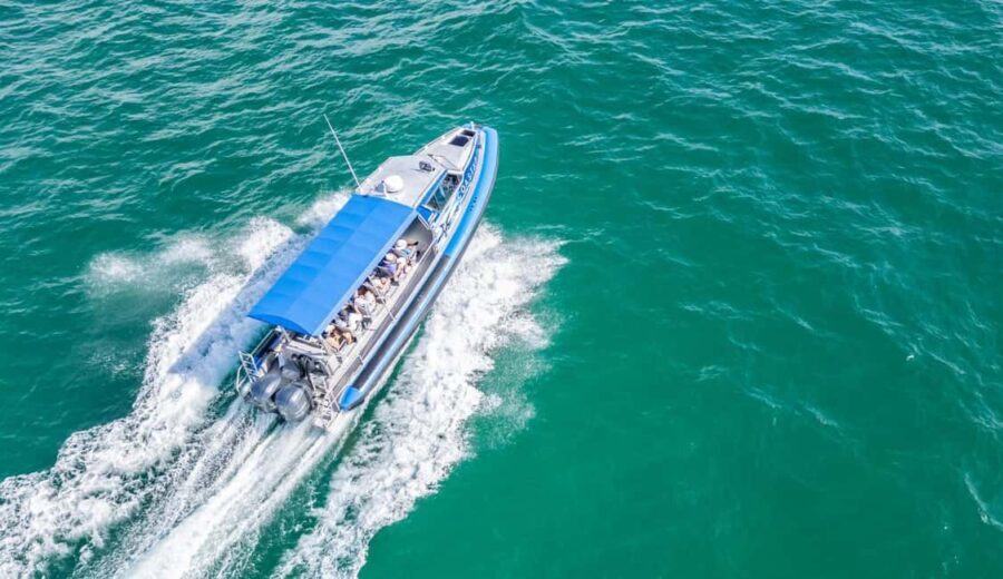 Coastal Boat Tour from Lake Macquarie - What Makes the Experience Stand Out?