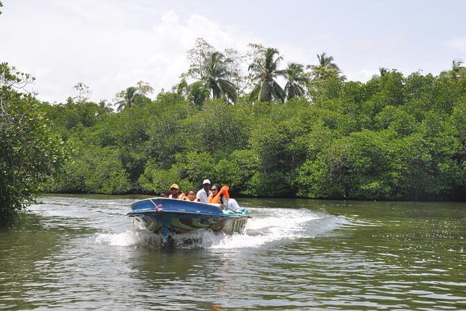 Coastal Ride to Galle from Negombo - An In-Depth Look at the Tour