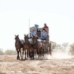 Cobb & Co Stagecoach Experience in Longreach - An In-Depth Look at the Experience