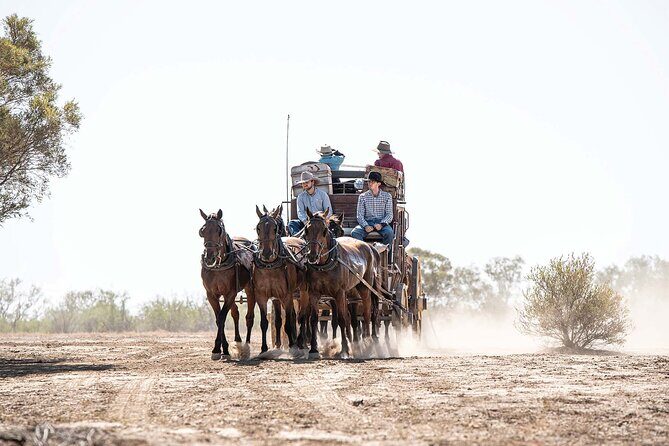 Cobb & Co Stagecoach Experience in Longreach - An In-Depth Look at the Experience